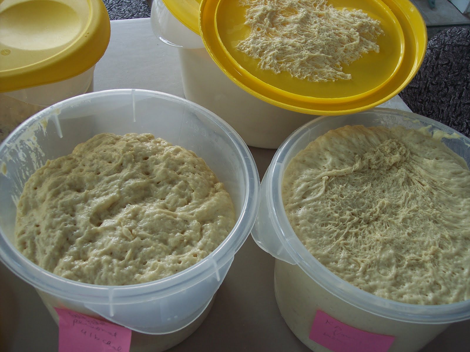 Judy's Bakery and Test Kitchen: All Purpose Flour Test--King Arthur and ...