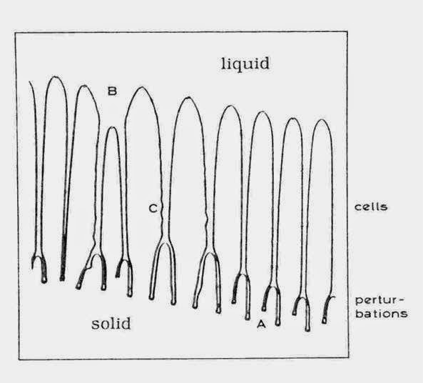 Metallurgy & Material Sciences : Columnar & Dendritic Growth of Nuclei