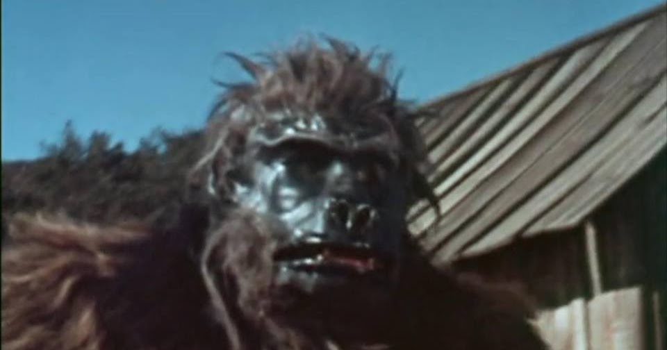 Hollywood Gorilla Men: South of the border Simian!!!