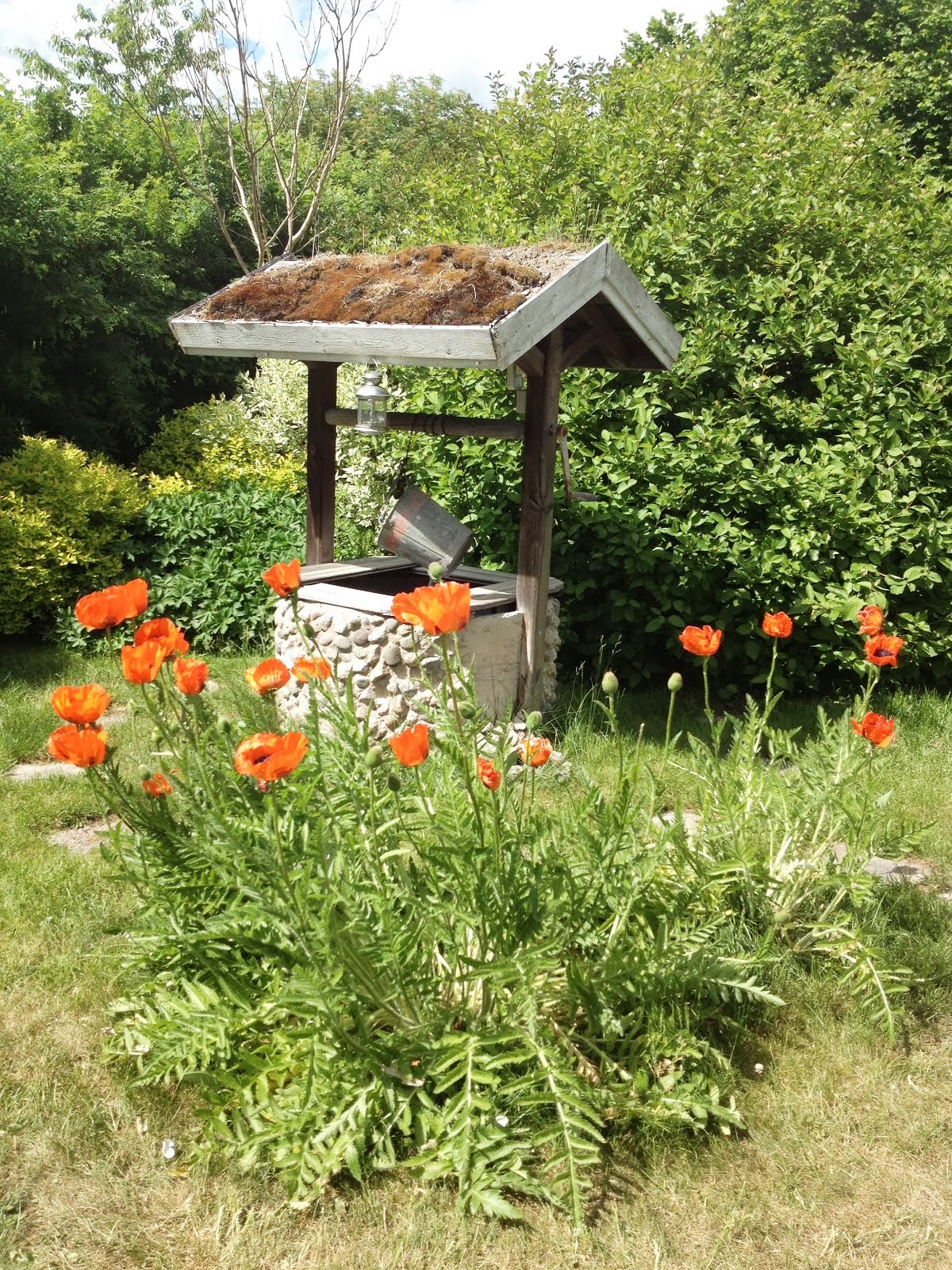 fisen: Vattenbrunn på tomten