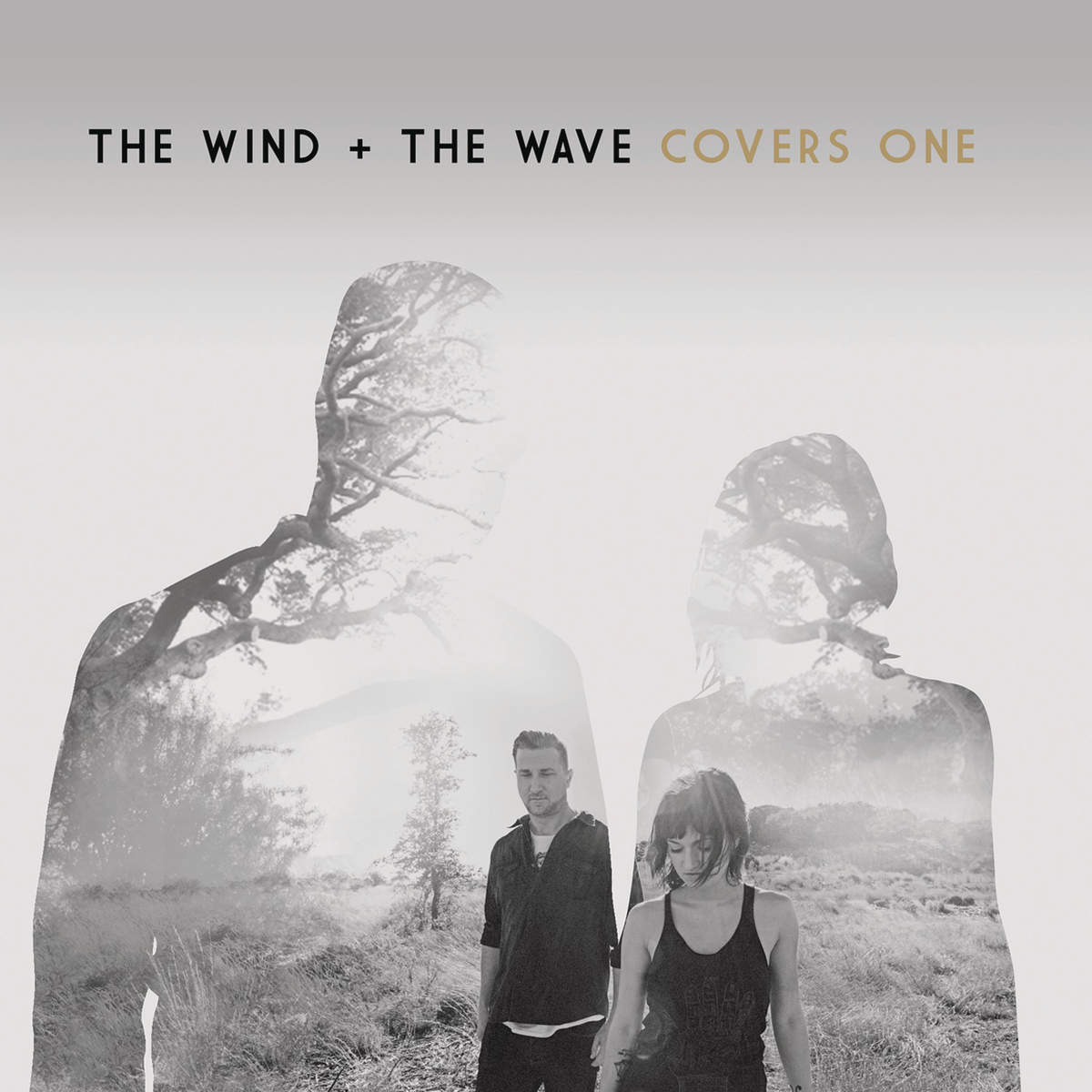 alternative rock & indie music: Cover Song of the week: The Wind And ...