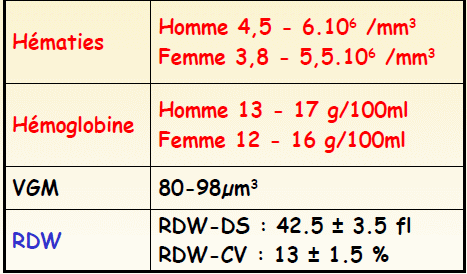 Hémogramme - BIOLOGIE MEDICALE