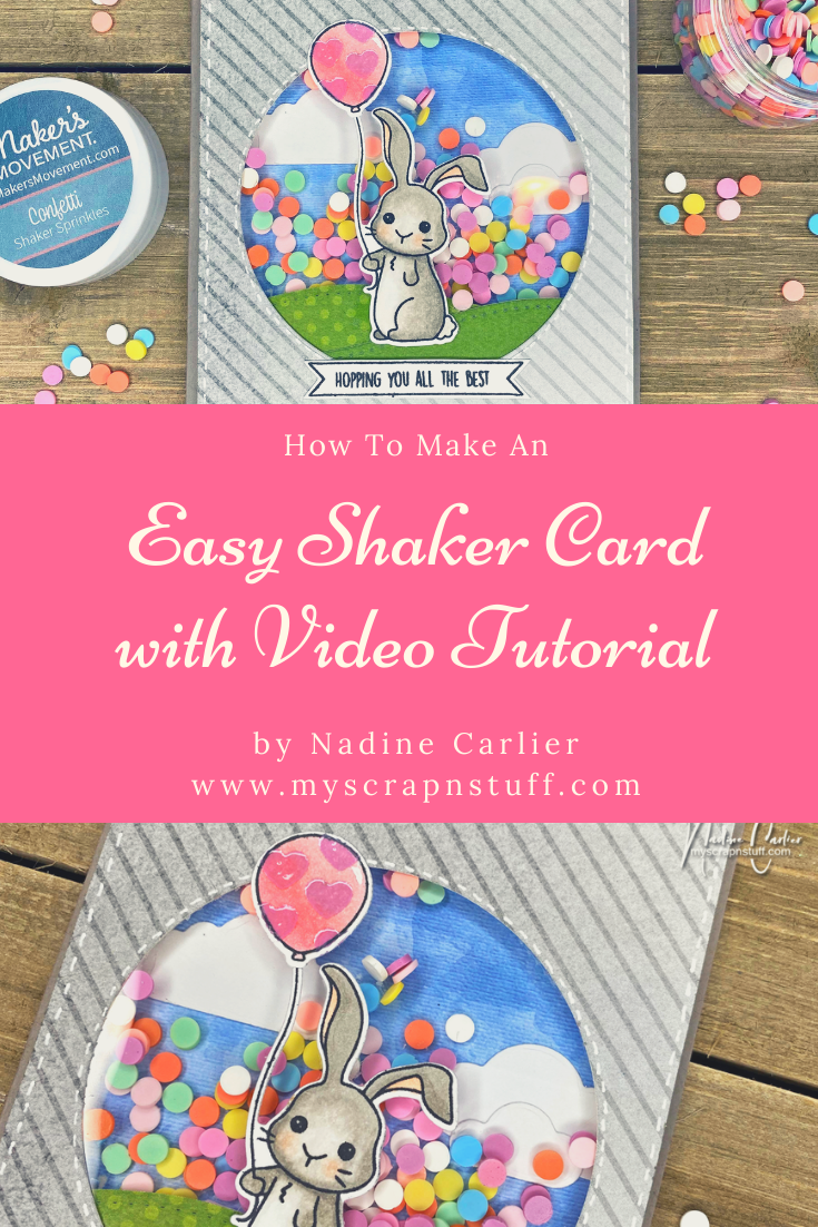 Easy Shaker Card Idea ~ Nadine Carlier