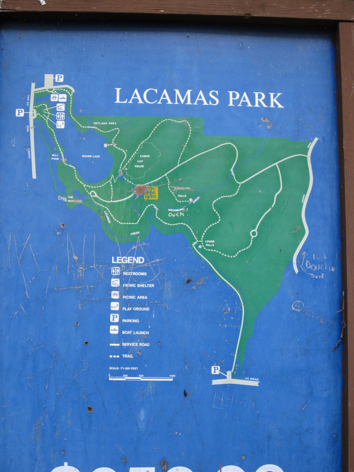 Flying into the Light: Lacamas Park Revisited