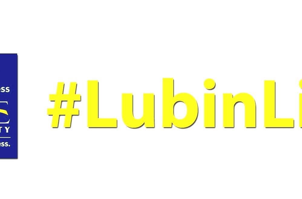 Lubin School Of Business
