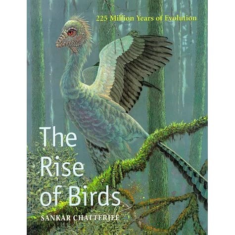 Manospondylus: Solved and Unsolved Fossil Enigmas - Part 2