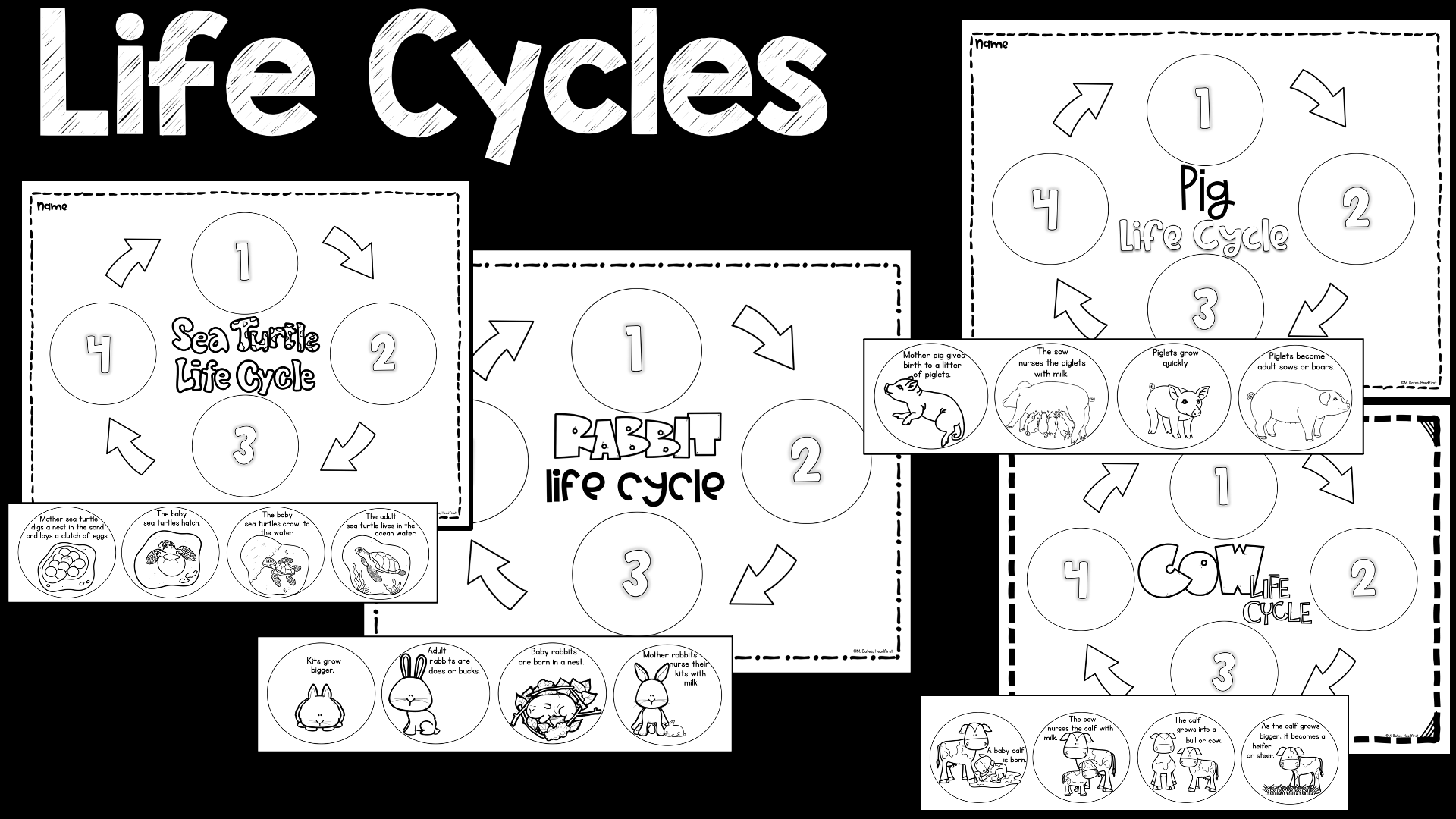 Headfirst - a blog for primary teachers by a first grade teacher ...