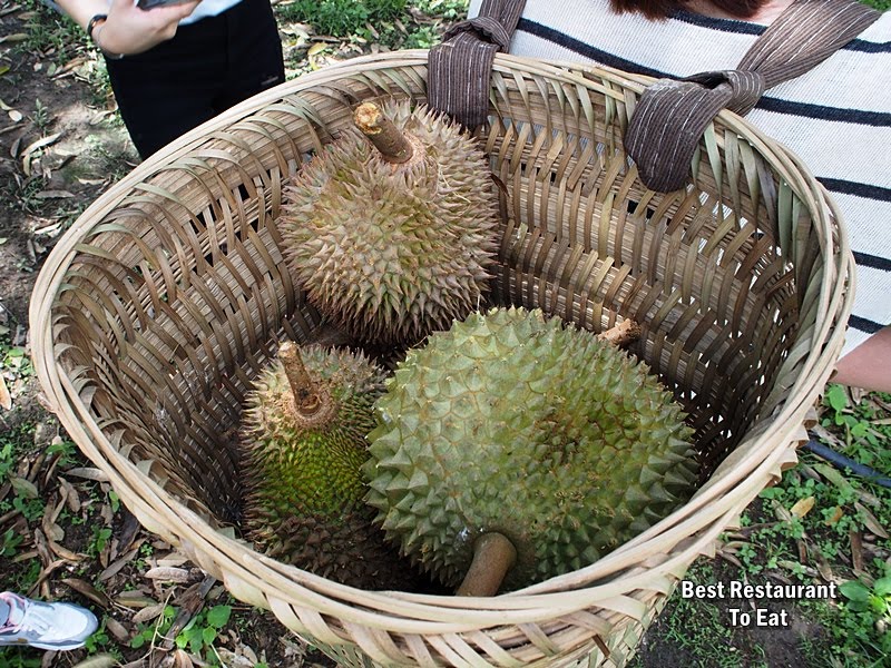 Best Restaurant To Eat - Malaysian Food Blog: DurianBB University ...