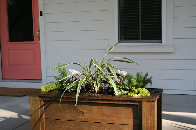 The Lowcountry Lady: Fall Winter Front Porch Flower Boxes