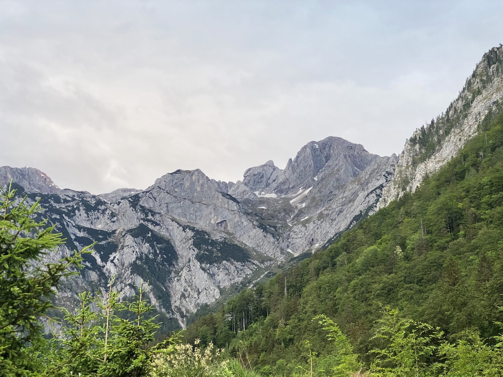 Modrina neba...: Utrinki: Na Planjavo po grapi Za Vratam