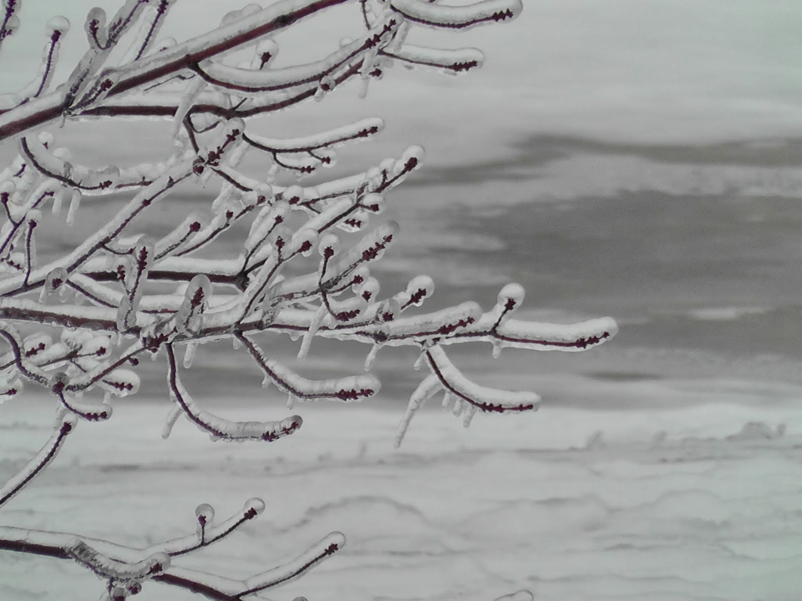 Life and Entertainment: ICE RAIN ALSO KNOWN AS FREEZING RAIN