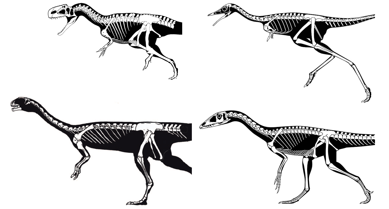 The Theropod Database Blog: Chilesaurus brings out the BANDit in me