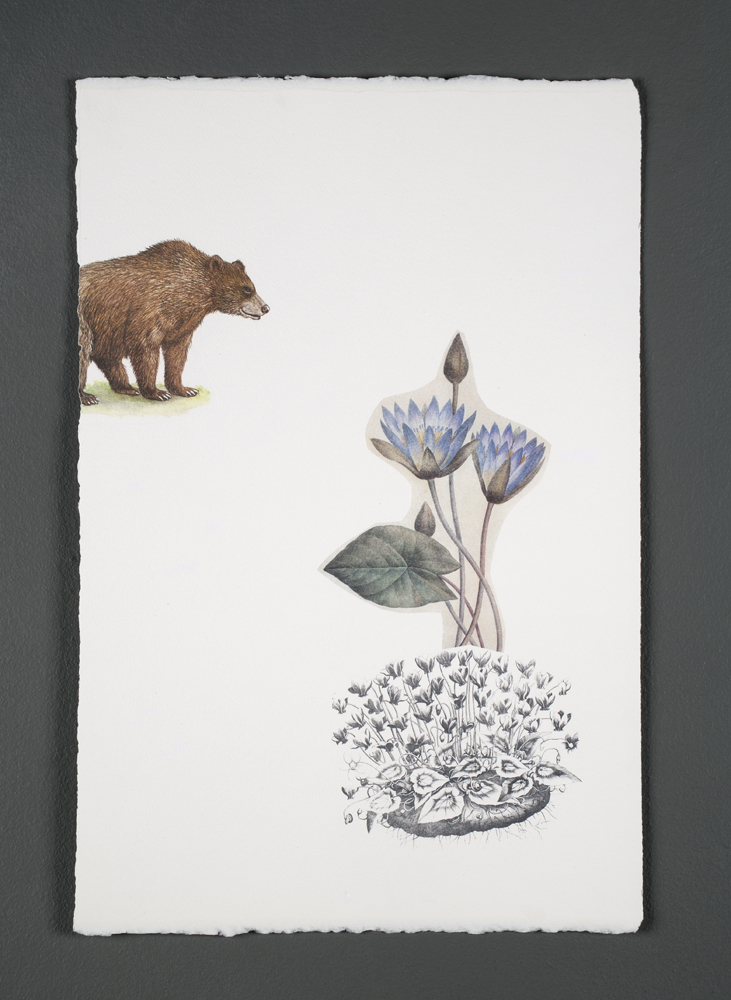 Washington Glass School: Ginny Ruffner: A Movie & A Show