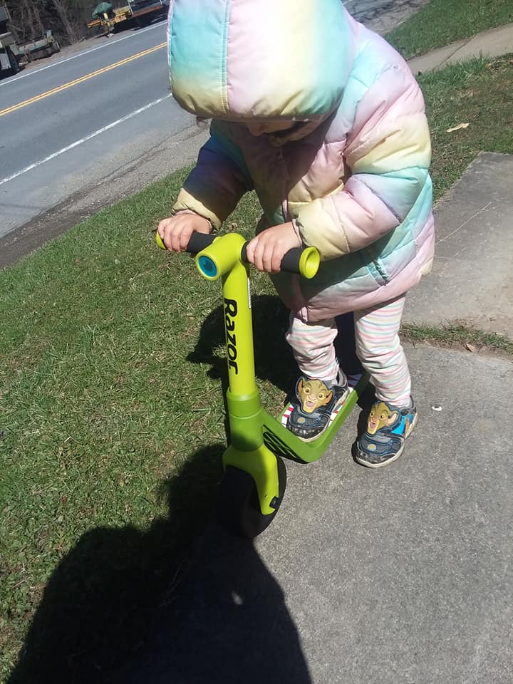 Toddlers Will Love This Wild Ones Junior Kick Scooter from Razor ...