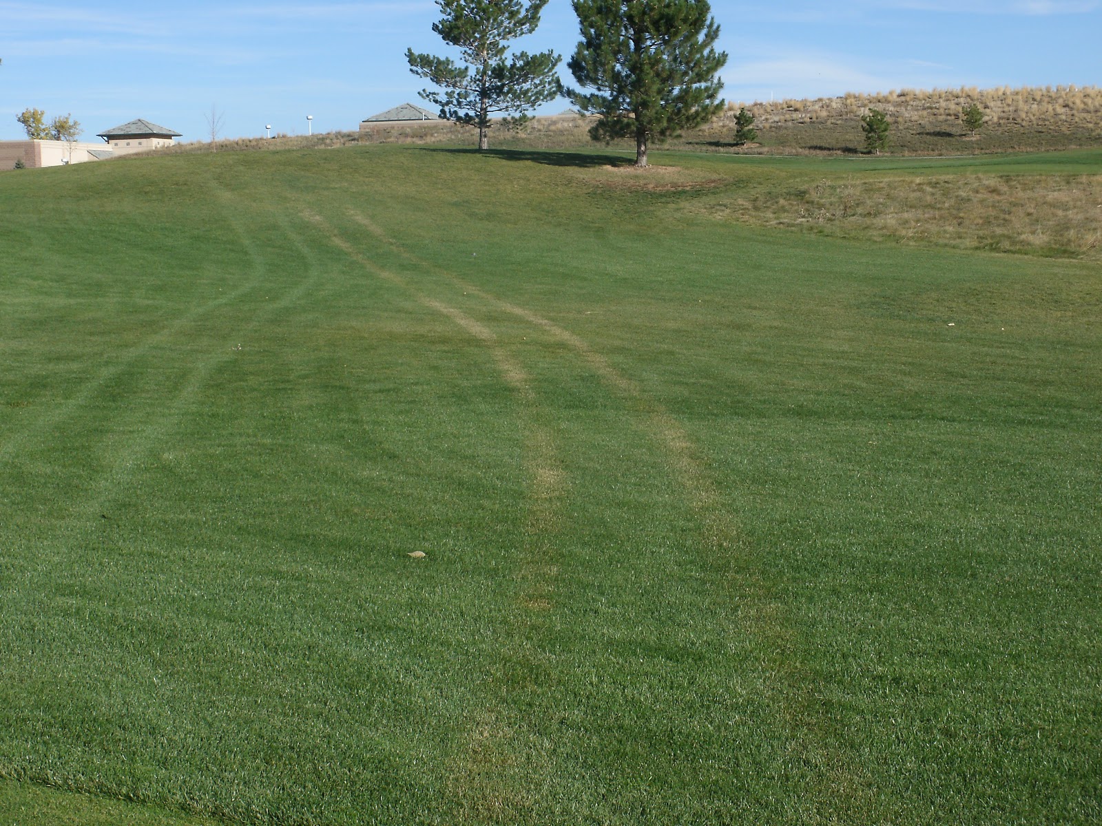 The Broadlands Golf Course Maintenance Update