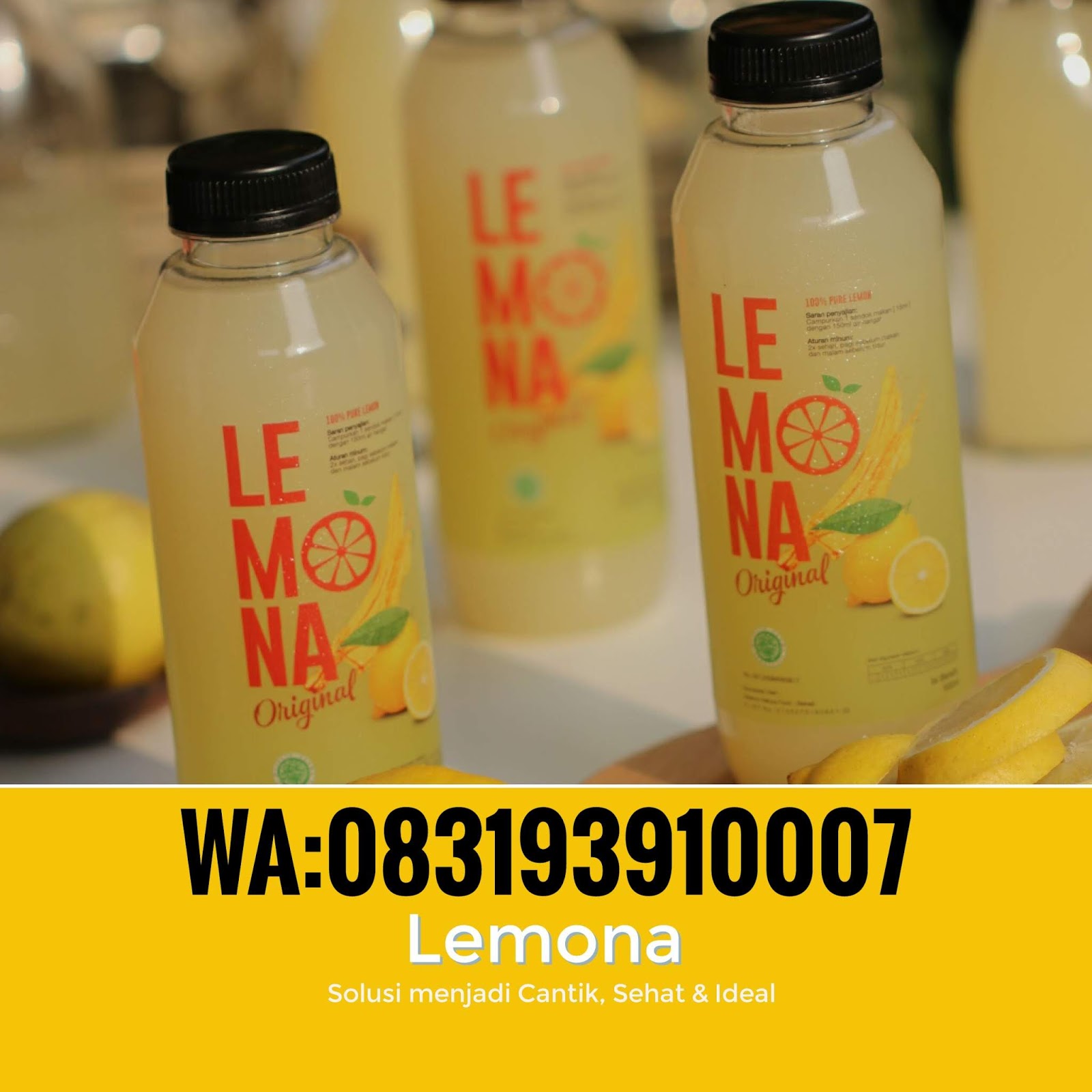wilmania shop | sms WA 083193910007 | Lemona Bandung: Agen Jual Grosir ...