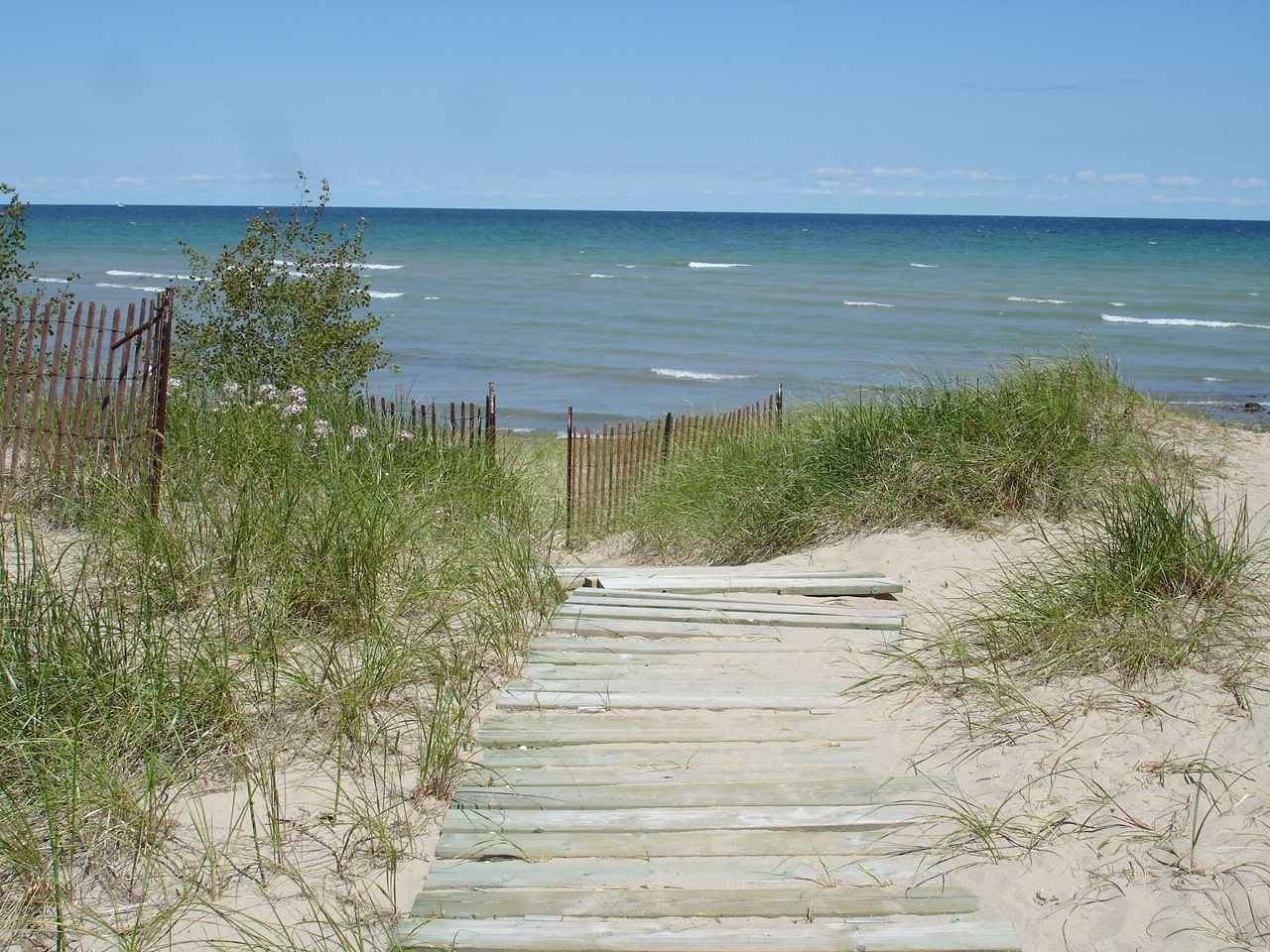 J and B and Lady Blue: Lower Peninsula of Michigan