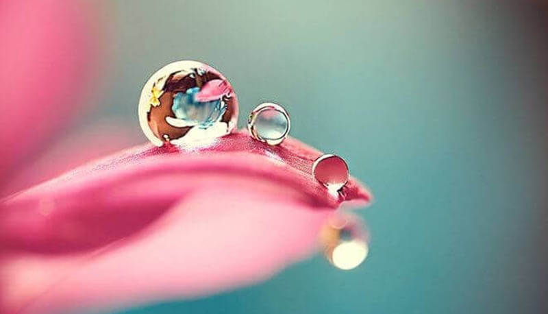 Essenza Consapevole: Tutto è perfetto