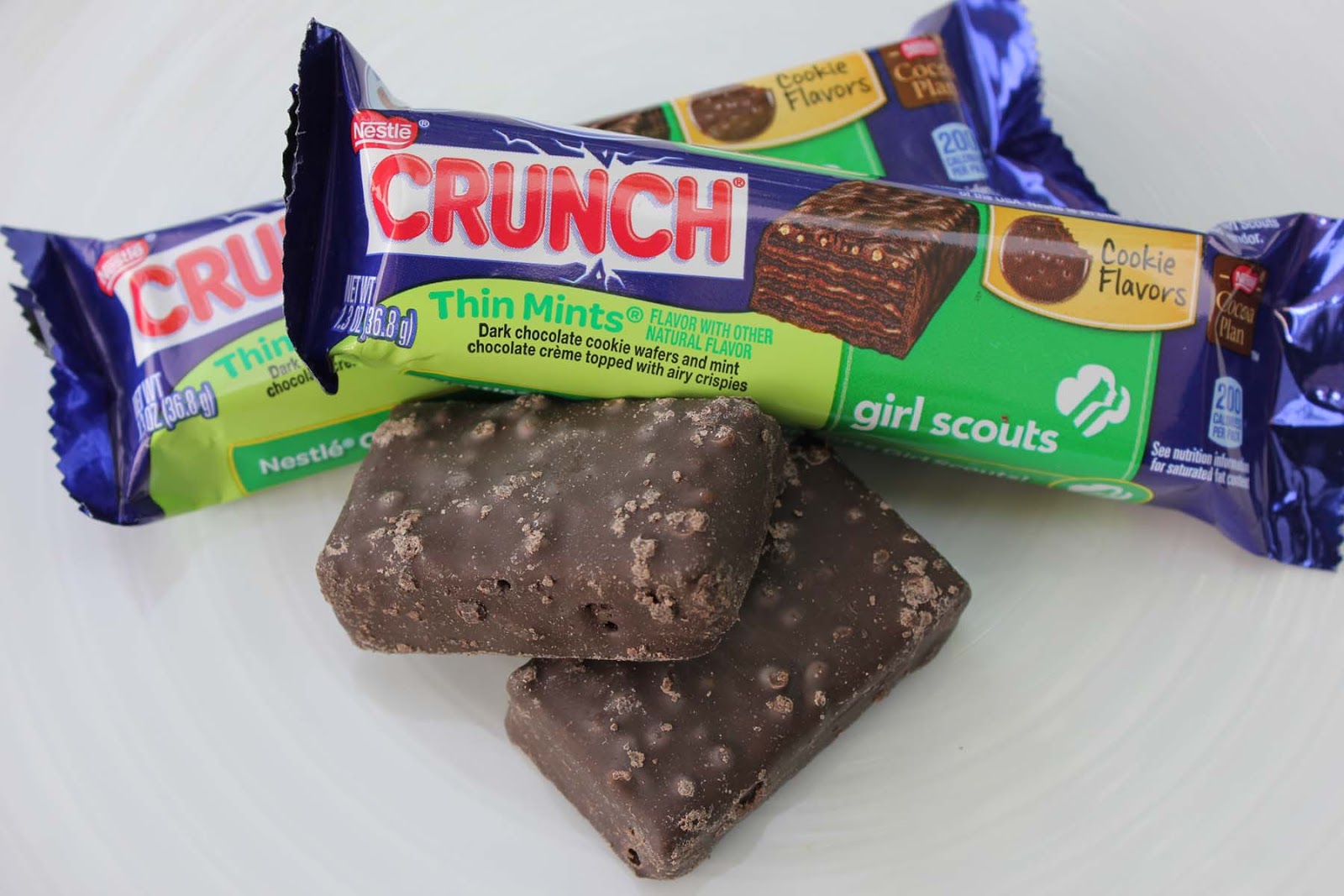 Katie's Nesting Spot: Back for the Summer: Nestlé® Crunch® Girl Scout ...