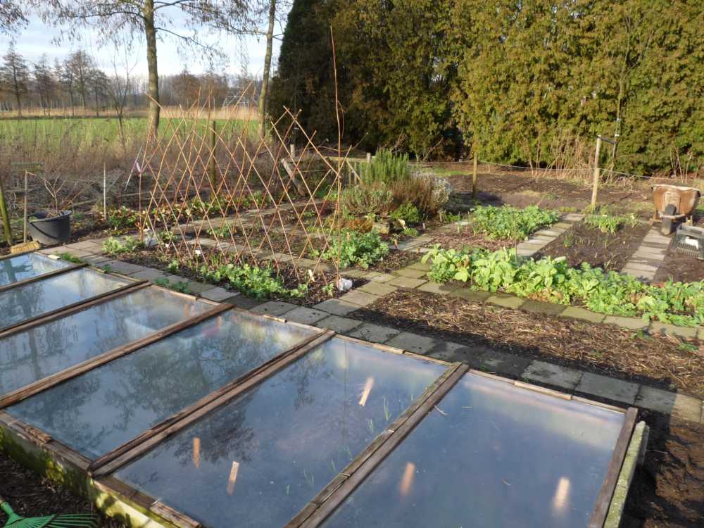 Ons nieuwe ECO-huis!: Groentetuin