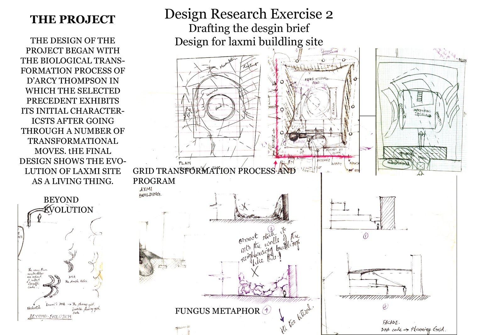 My Design Work: College Work- Selected Projects