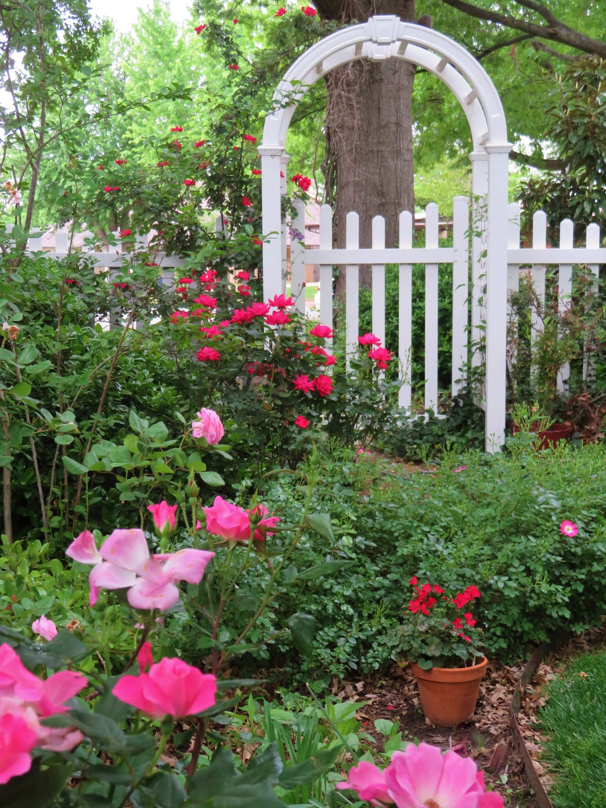 Miss Bloomers : May Flowers