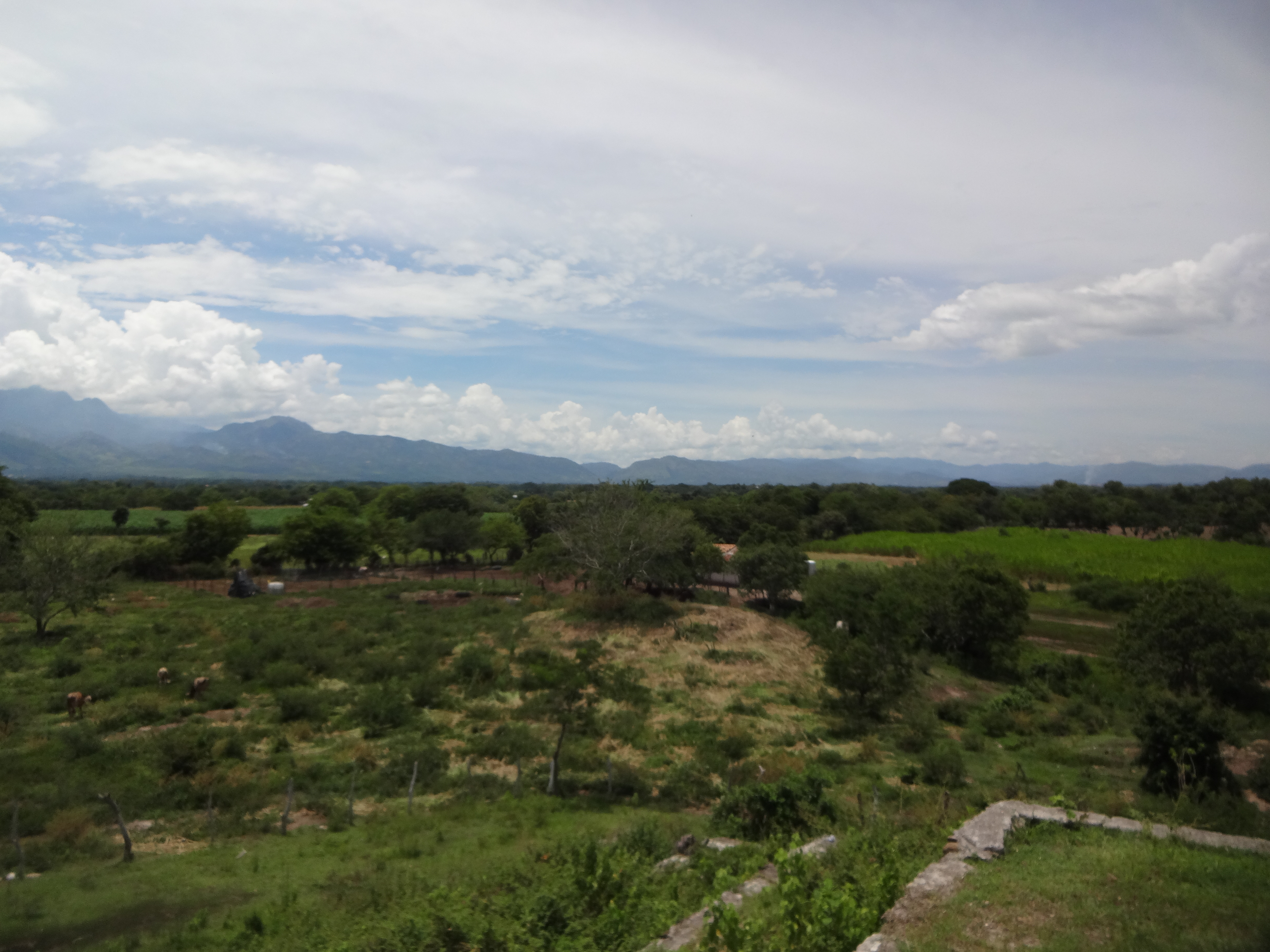 Asi Luce en 2020 "el Chircal" en Yarumela - la paz
