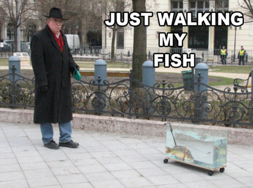 Just for fun pic: Just Walking My Fish