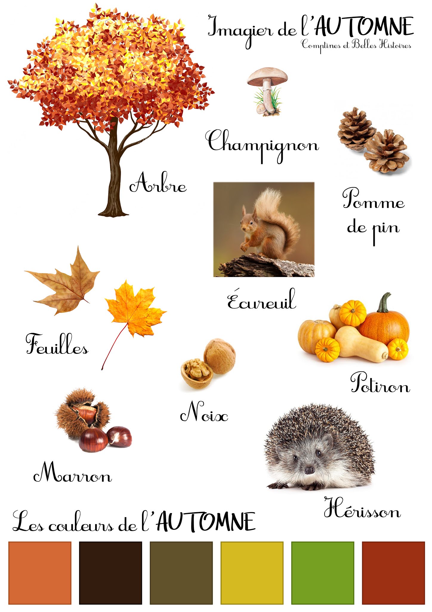 Activité : Imagier de l'automne - Comptines et Belles Histoires