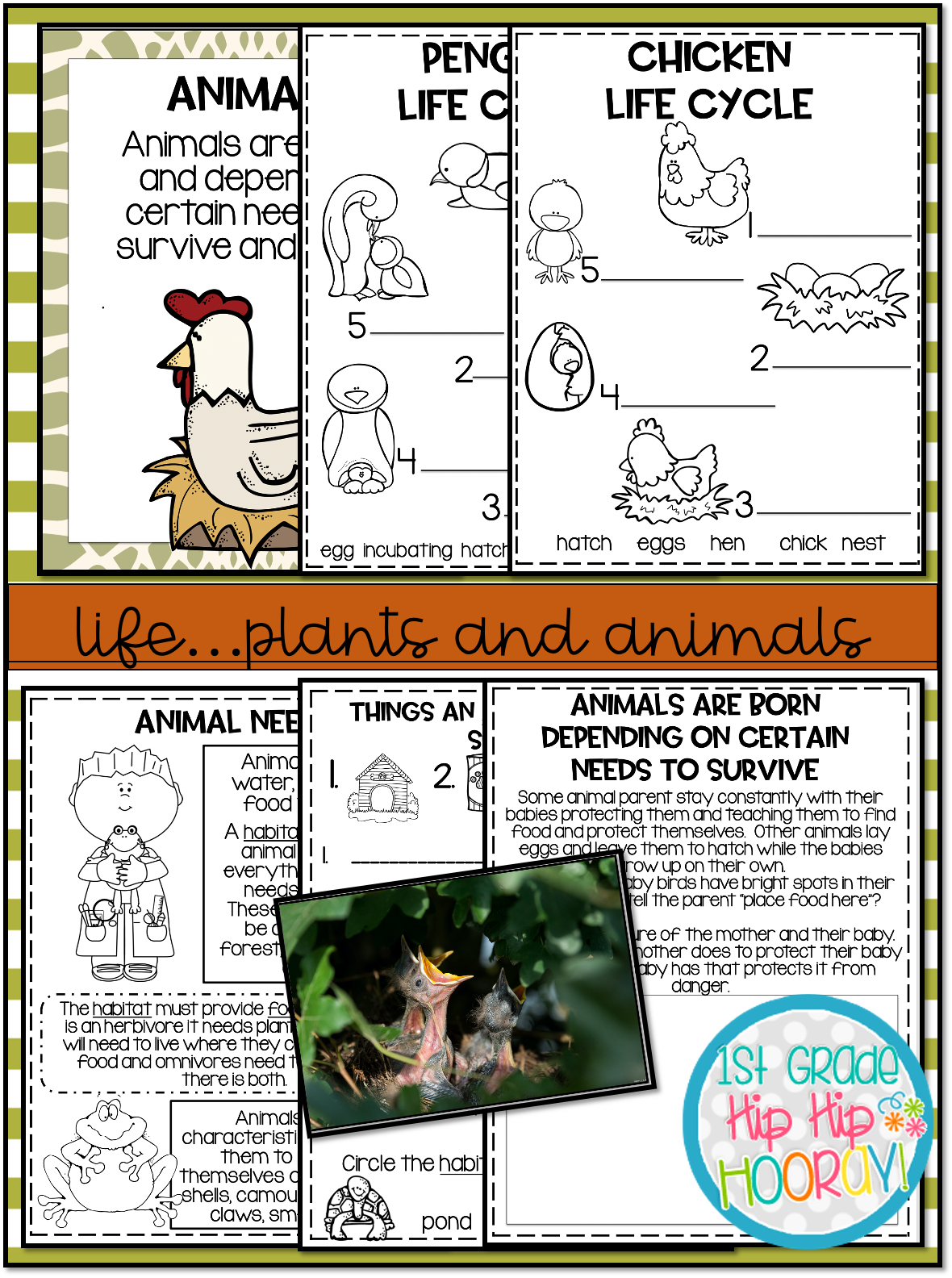 1st Grade Hip Hip Hooray!: NGSS... Life Science...Exploring Plants and ...