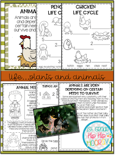 1st Grade Hip Hip Hooray!: NGSS... Life Science...Exploring Plants and ...