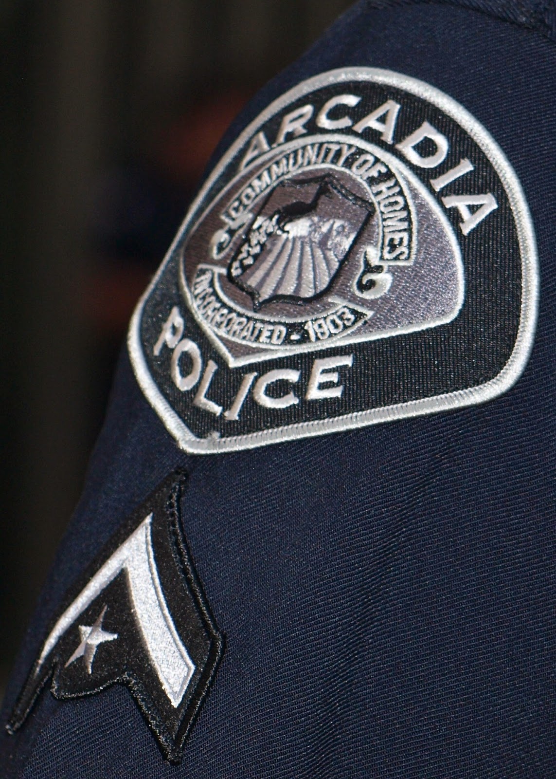 Arcadia Police Department News & Information Blog: 2013