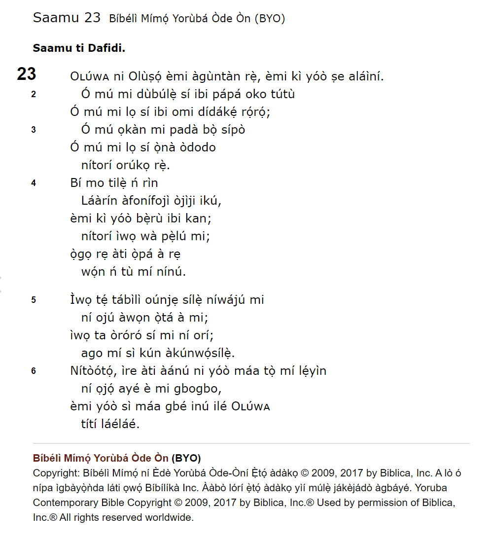 Akin Akintayo: The changing texts of religious meditation