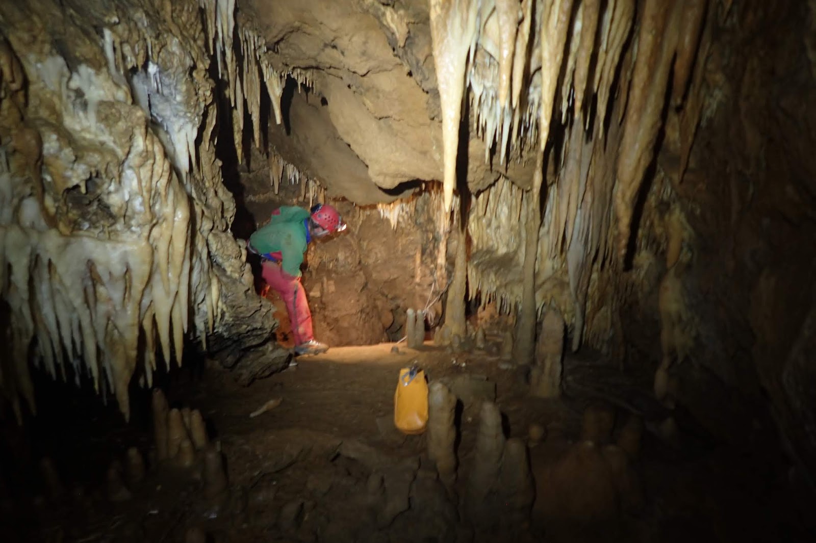 Les Trogloxènes Explorations Spéléologiques