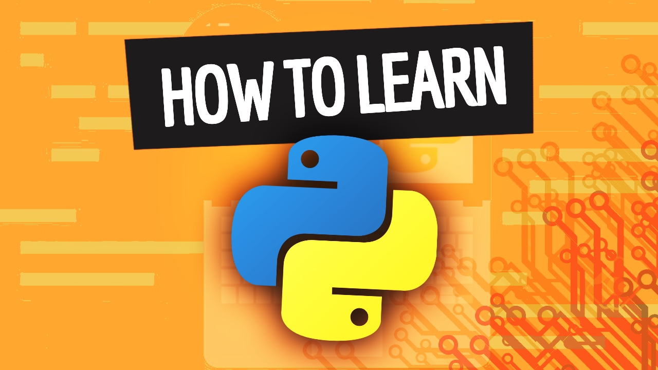 5 Reasons Why Students Fail While Learning Python
