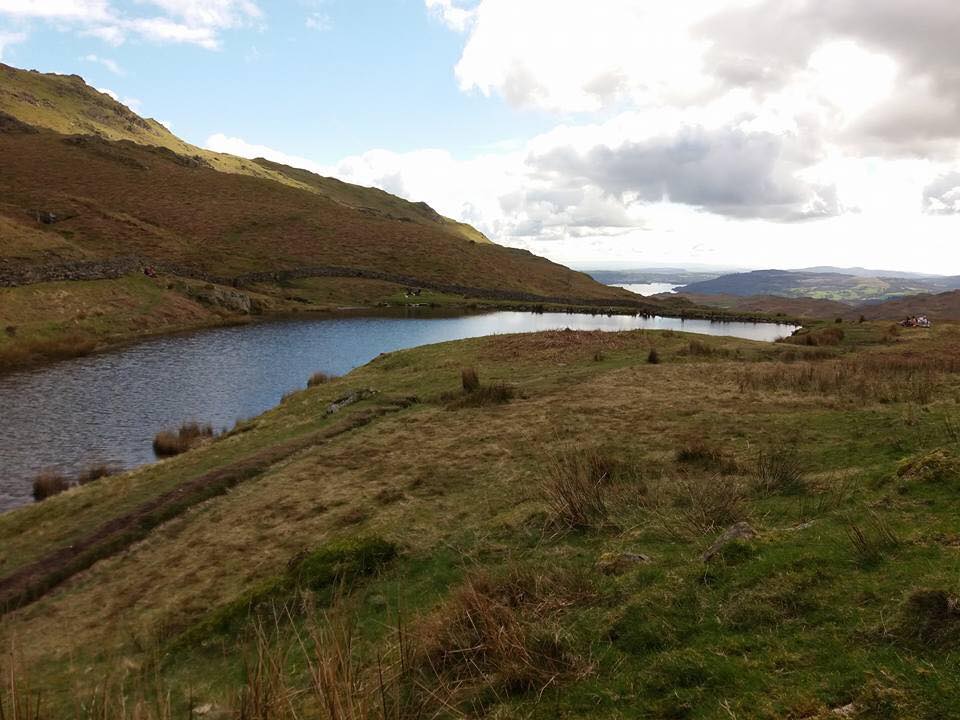 Lake District walks: Alcock Tarn - views of Grasmere