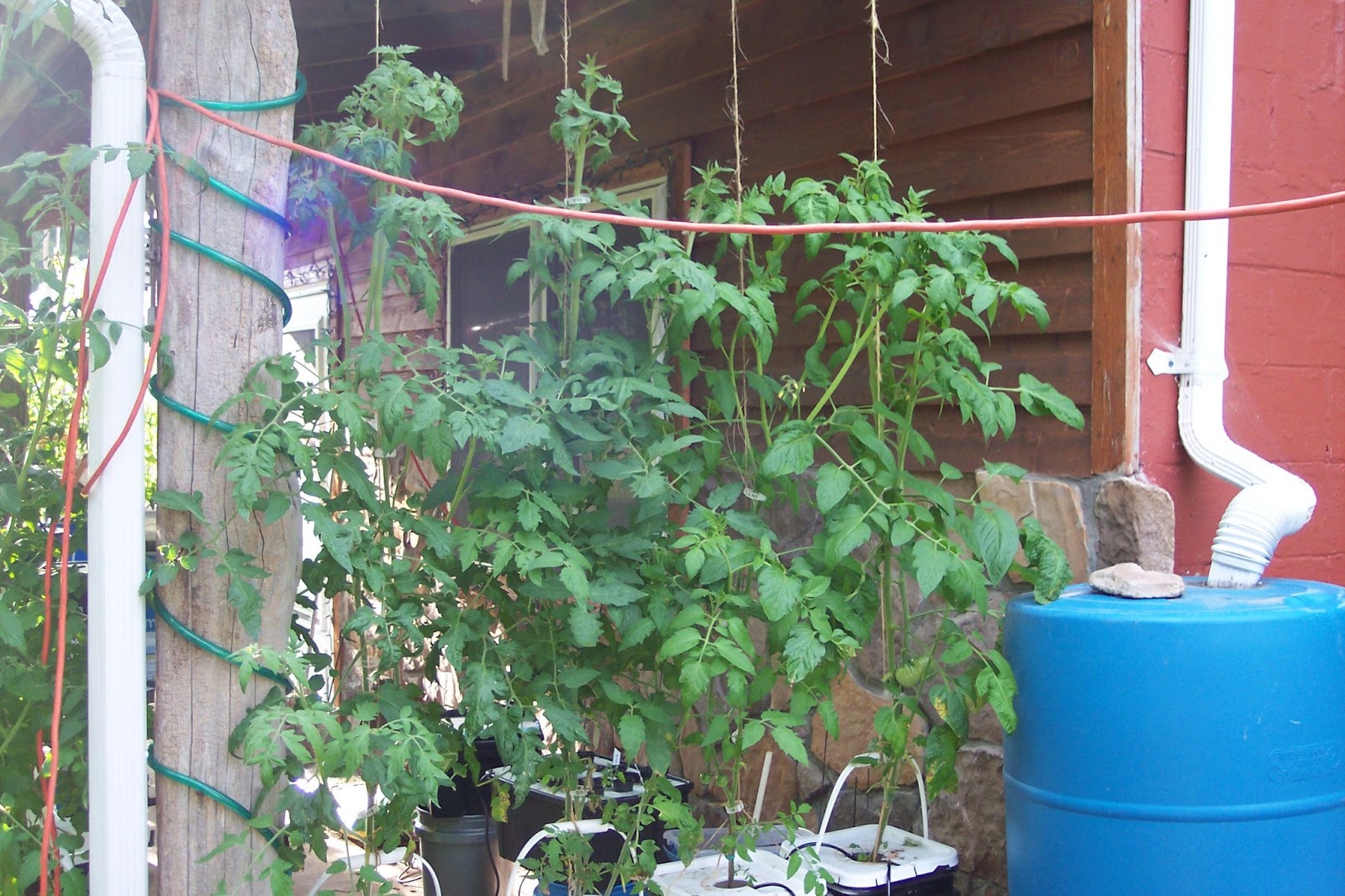 Almost Heaven Hydroponics