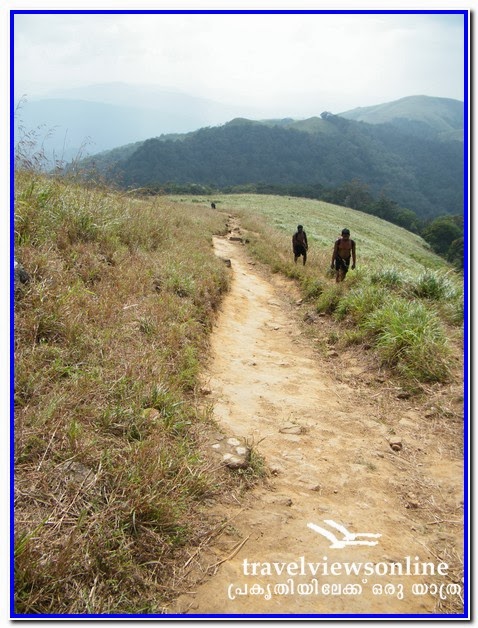 പ്രകൃതിയിലേക്ക് ഒരു യാത്ര (a travel towards NATURE): PULLUMEDU a unique ...