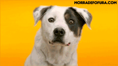 Cachorrinhos dando risada