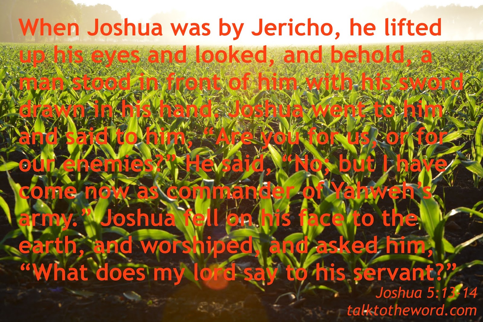 Joshua 5 13 14 joshua-5-13-14