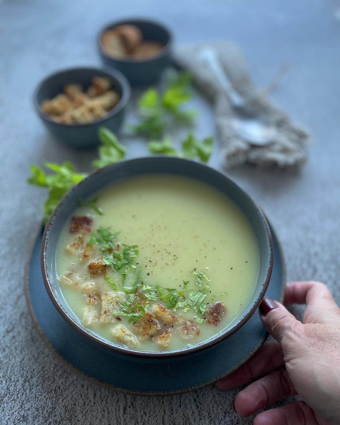 Seldersoep uit de soupmaker