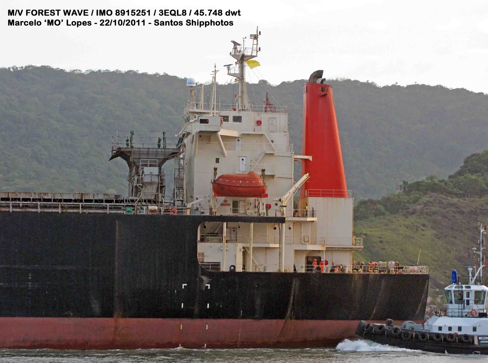 Santos Shiplovers: M/V Forest Wave / 3EQL8 - Um Wood Chip Carrier