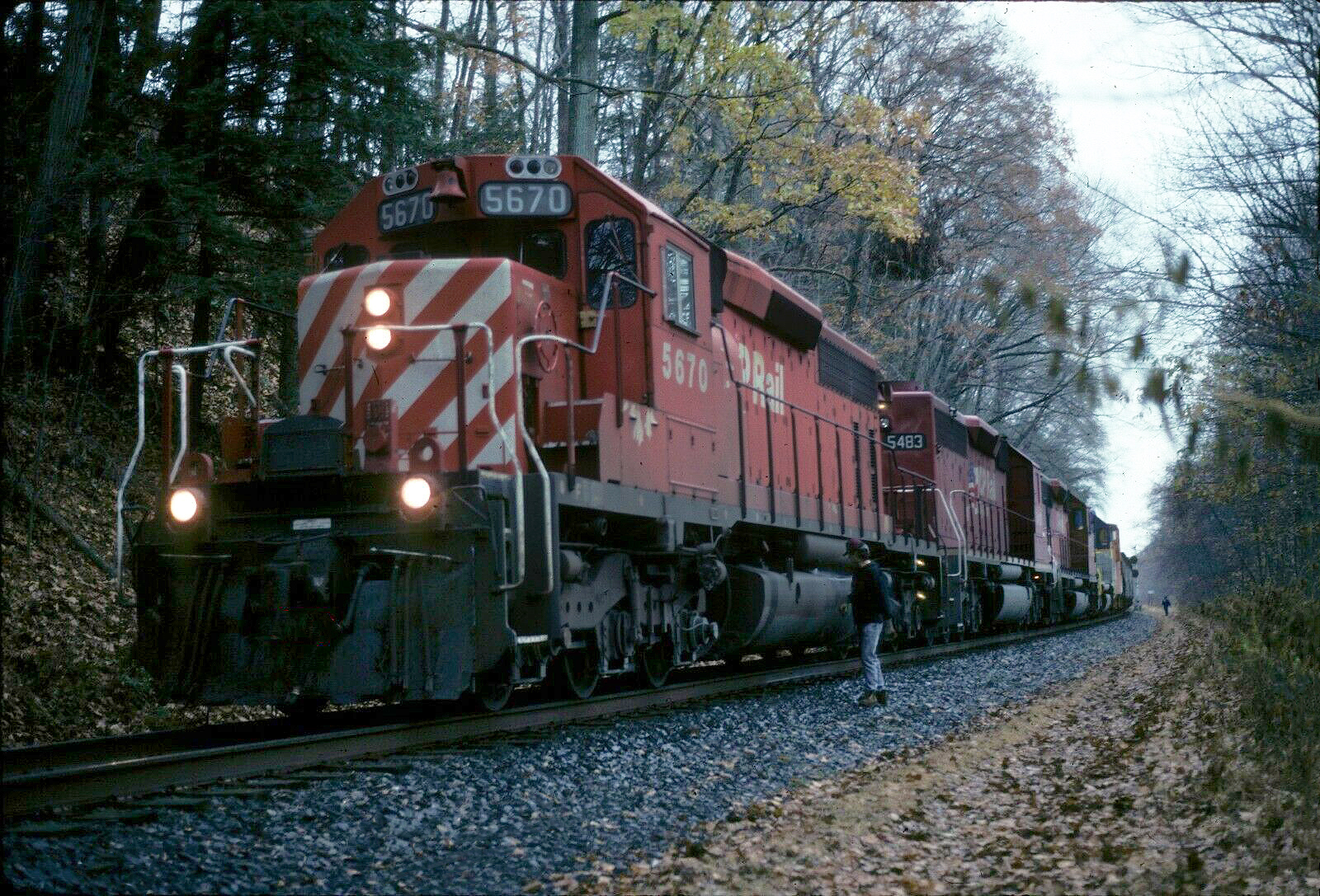 transpress nz: Canadian Pacific SD40-2 lash-up