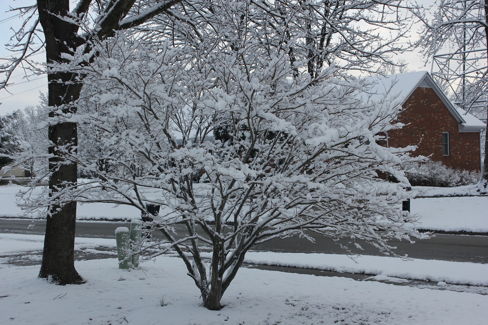Winter {finally} Comes to Kentucky {in March} - Ben and Me