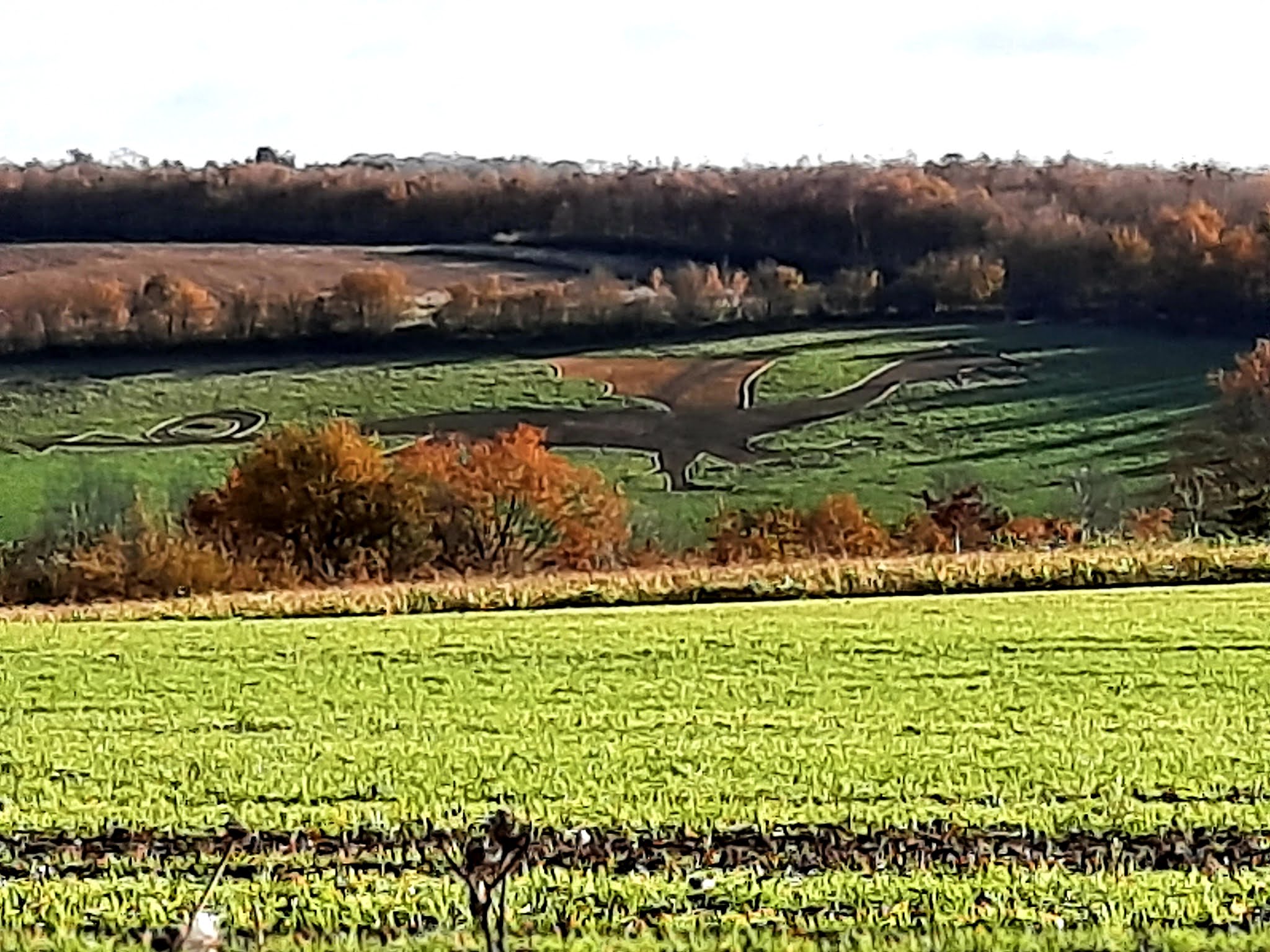 My Adventures 3: Bures Essex/Suffolk Circular Walk 12th November 2020