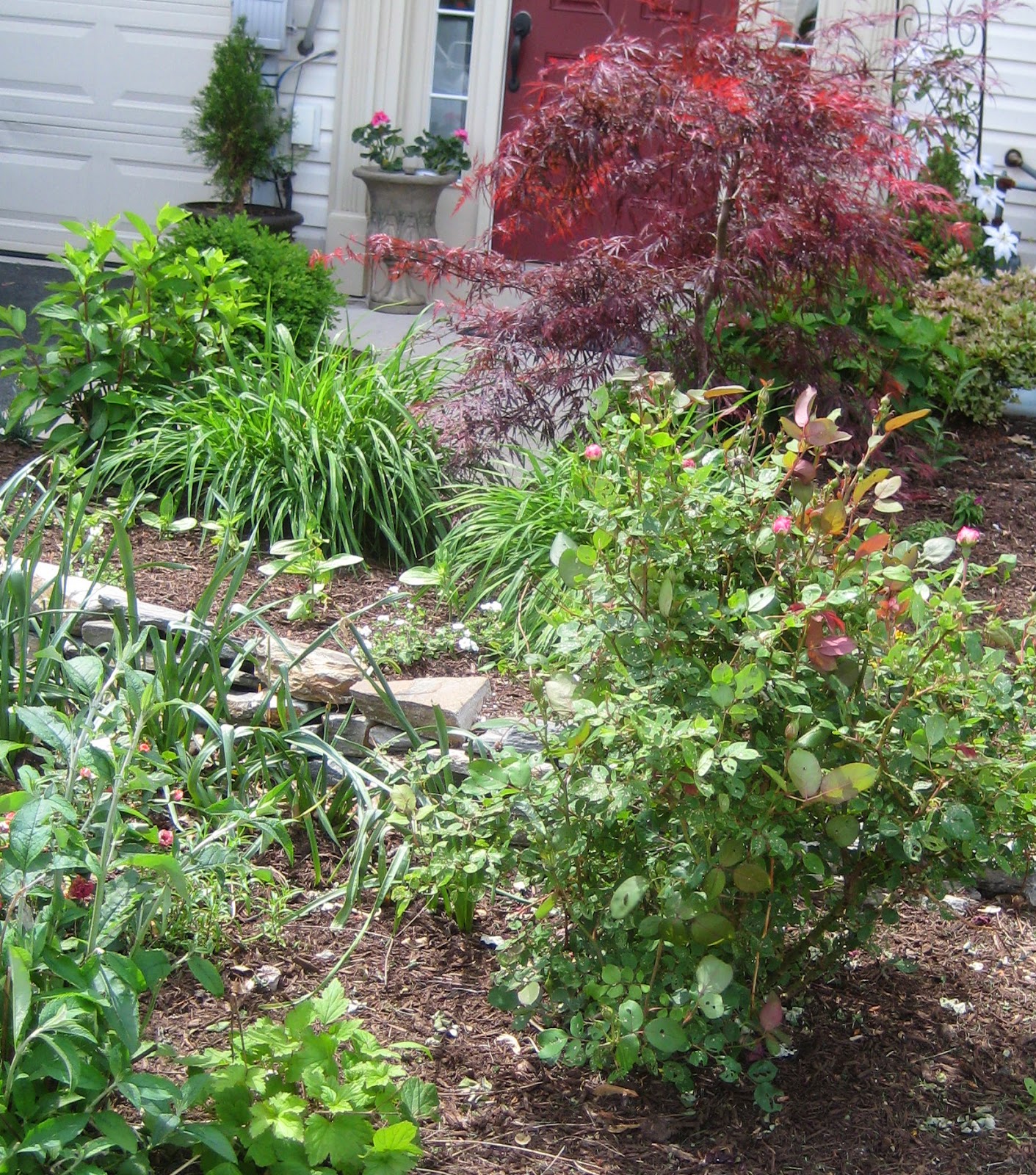 A Comfy Little Place of My Own: Late Spring Garden