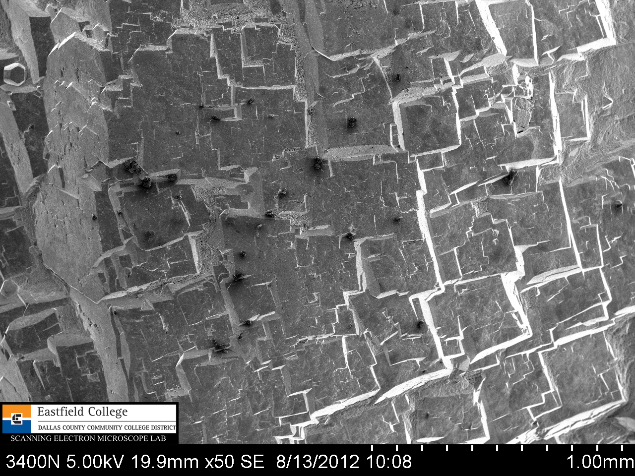 Scanning Electron Microscope Blog: Geology on a small scale