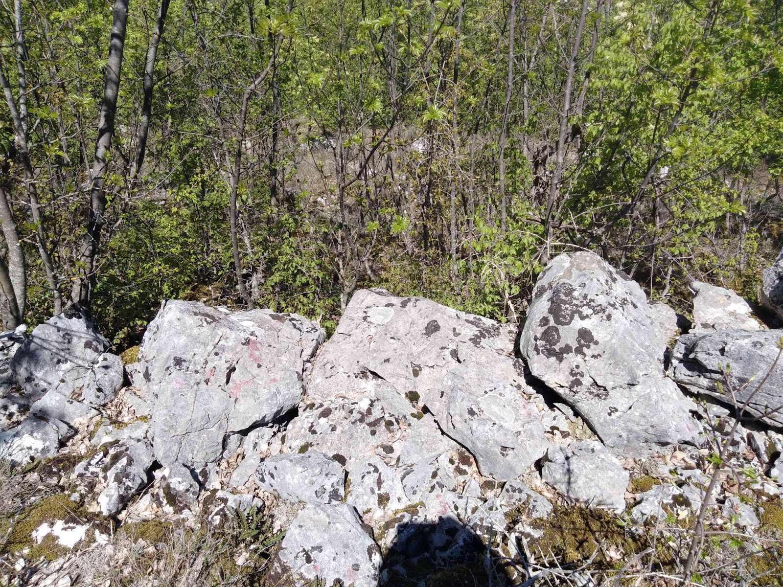 ZABORAVLJENA ILIRSKA GRADINA U GORNJIM MAMIĆIMA KOD ŠIROKOG BRIJEGA ...