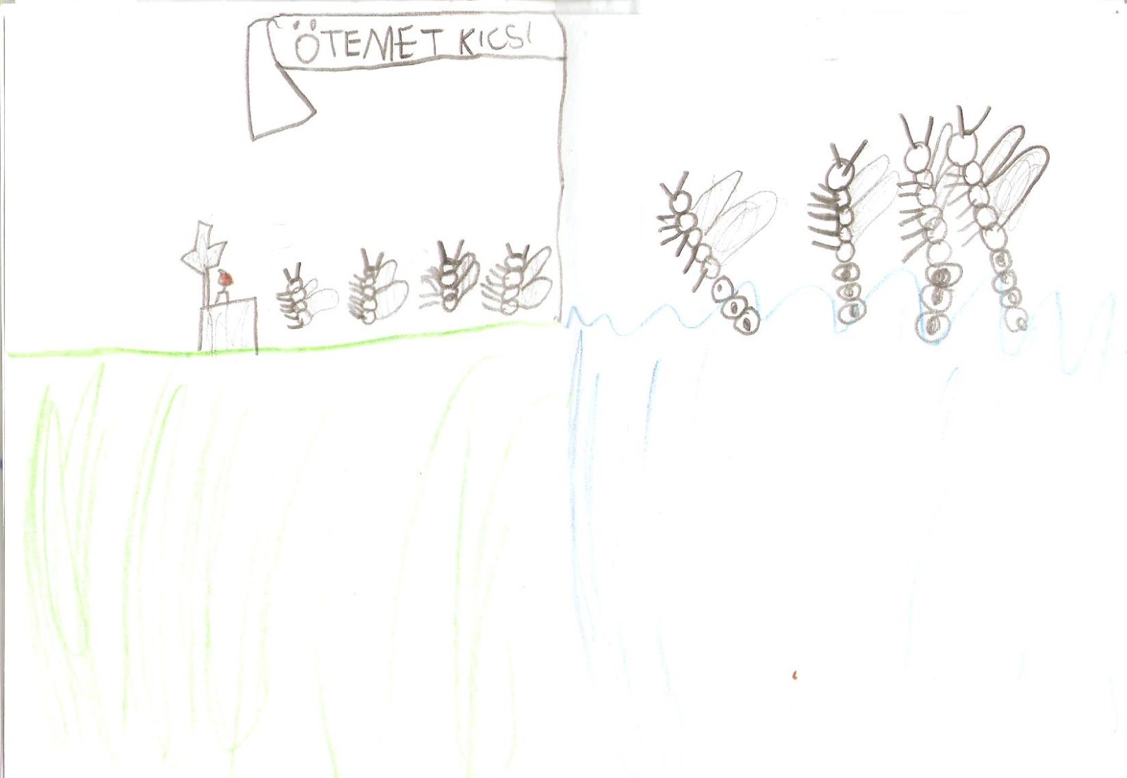 Jépatojta van!: 2012