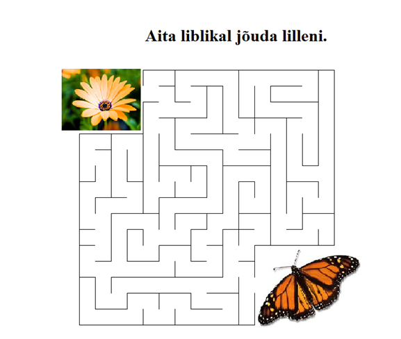 Katrinka E-portfoolio: Tööleht - labürint
